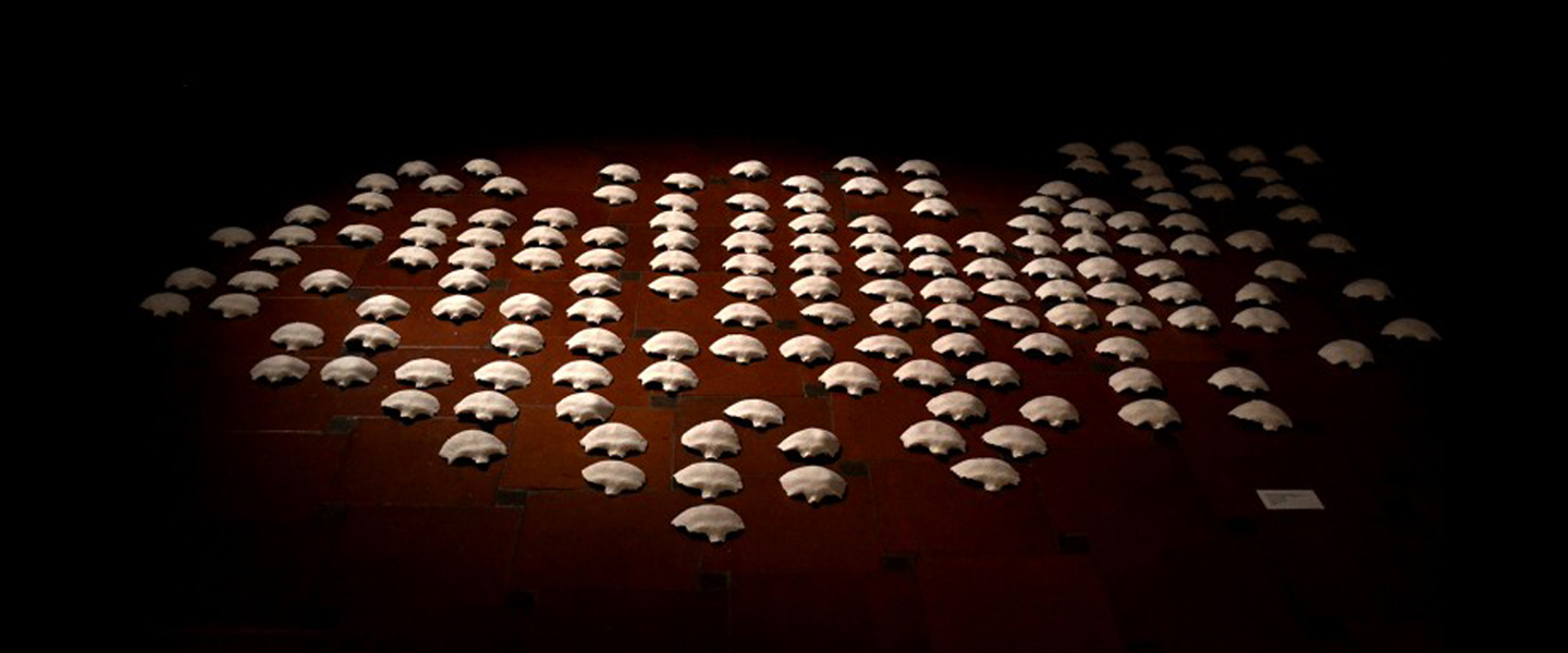 Home - RUFA - Rome University of Fine Arts