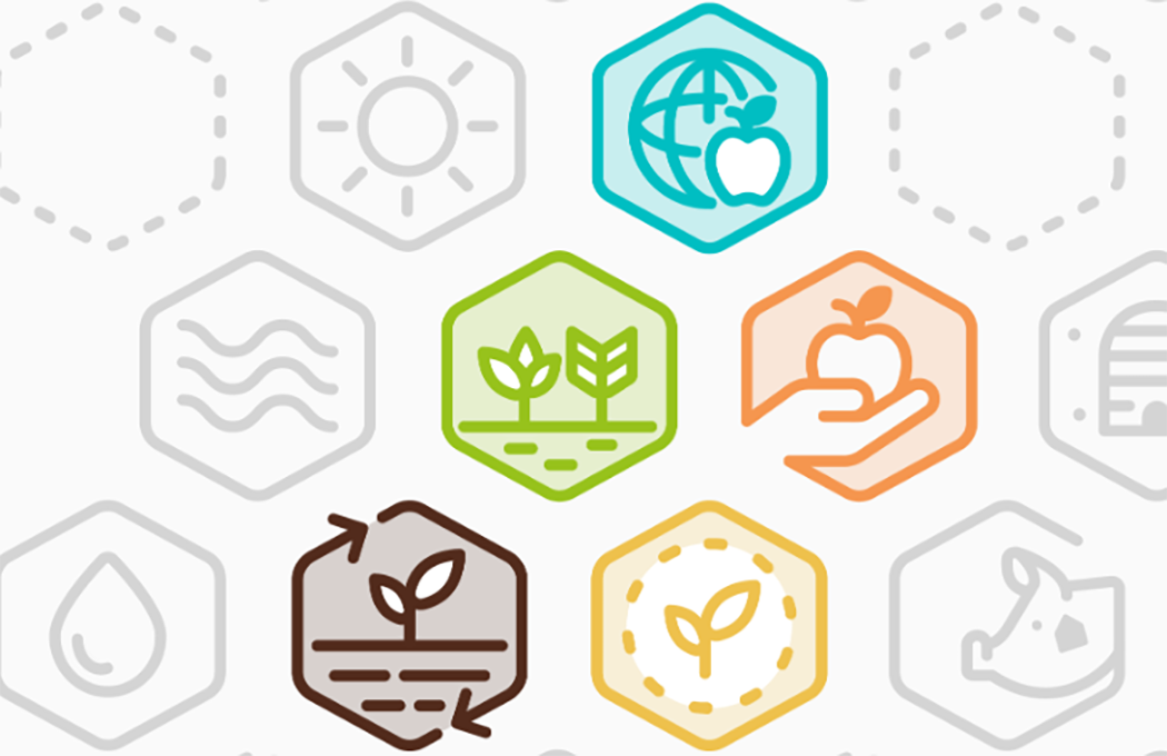 Foodicons Challenge - An international visual language to be presented ...