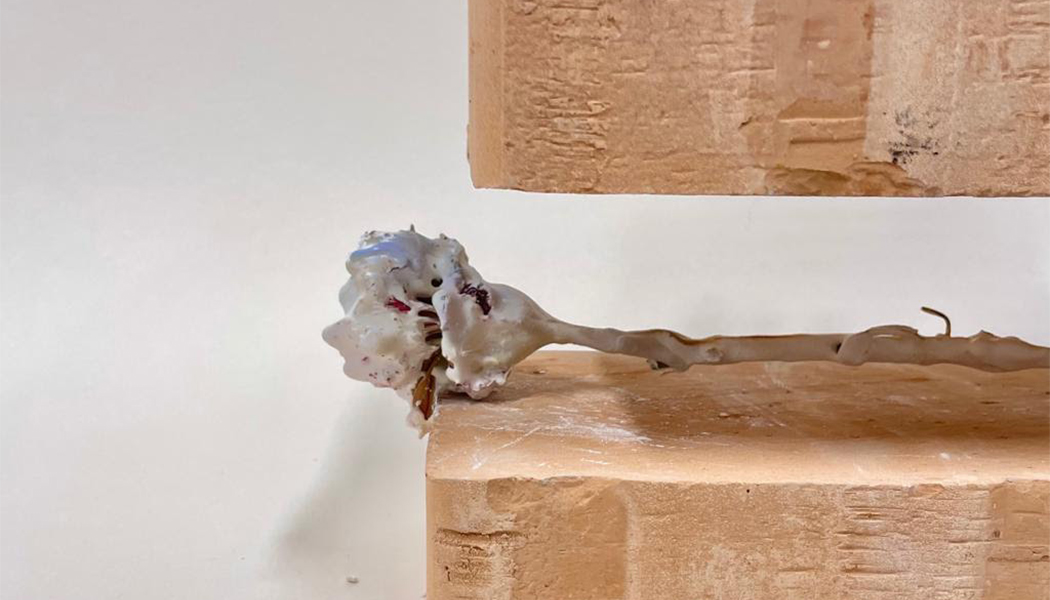 Wang Yuxiang's solo exhibition at PRAC - RUFA - Rome University of Fine Arts